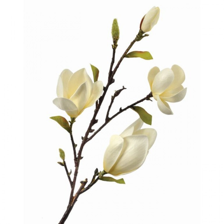 Eva Saucer Magnolia Spray – Dust & Grace Mercantile